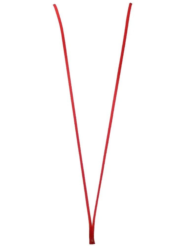 2024 Sexy Micro Slingshot G-String Thong Red Black Blue Swimsuit